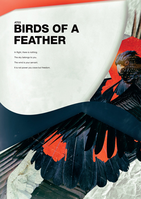 18-19 CAPiTA(キャピタ)・BIRDS OF A FEATHER [140cm,142cm,144cm 18-19 CAPiTA(キャピタ)・BIRDS OF A FEATHER [140cm,142cm,144cm